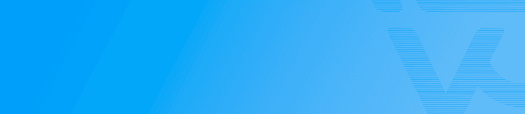 Efficiently Managing and Deploying Unencumbered Cash - Indus Valley ...